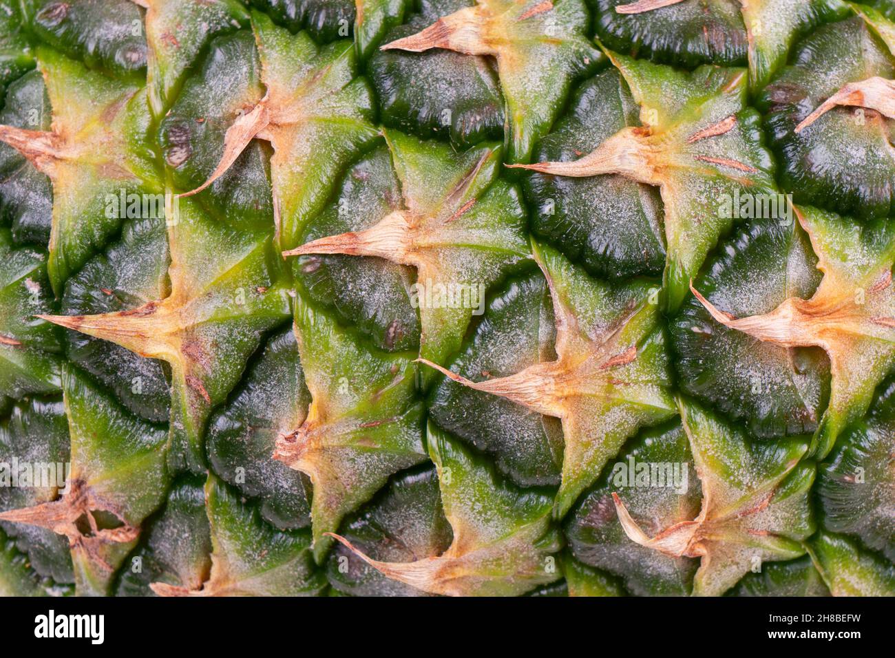 Pineapple texture background. Pineapple skin surface. Whole pineapple ...