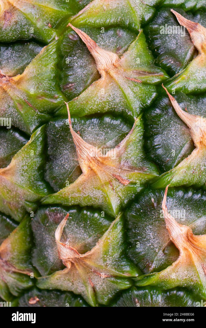 Macro shot pineapple texture background. Pineapple skin surface close ...