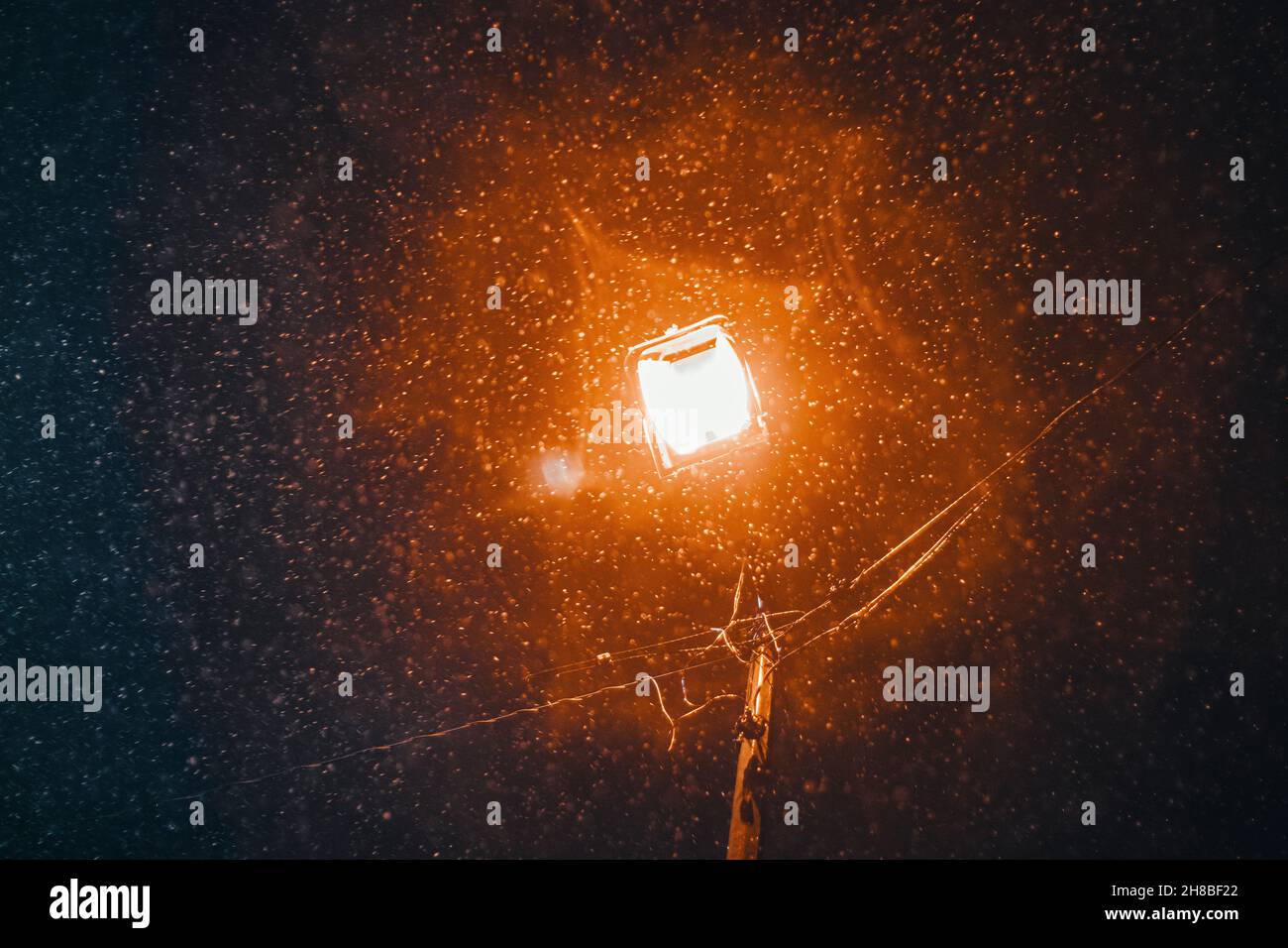 Close up orange street light in snowy weather. Winter night background ...