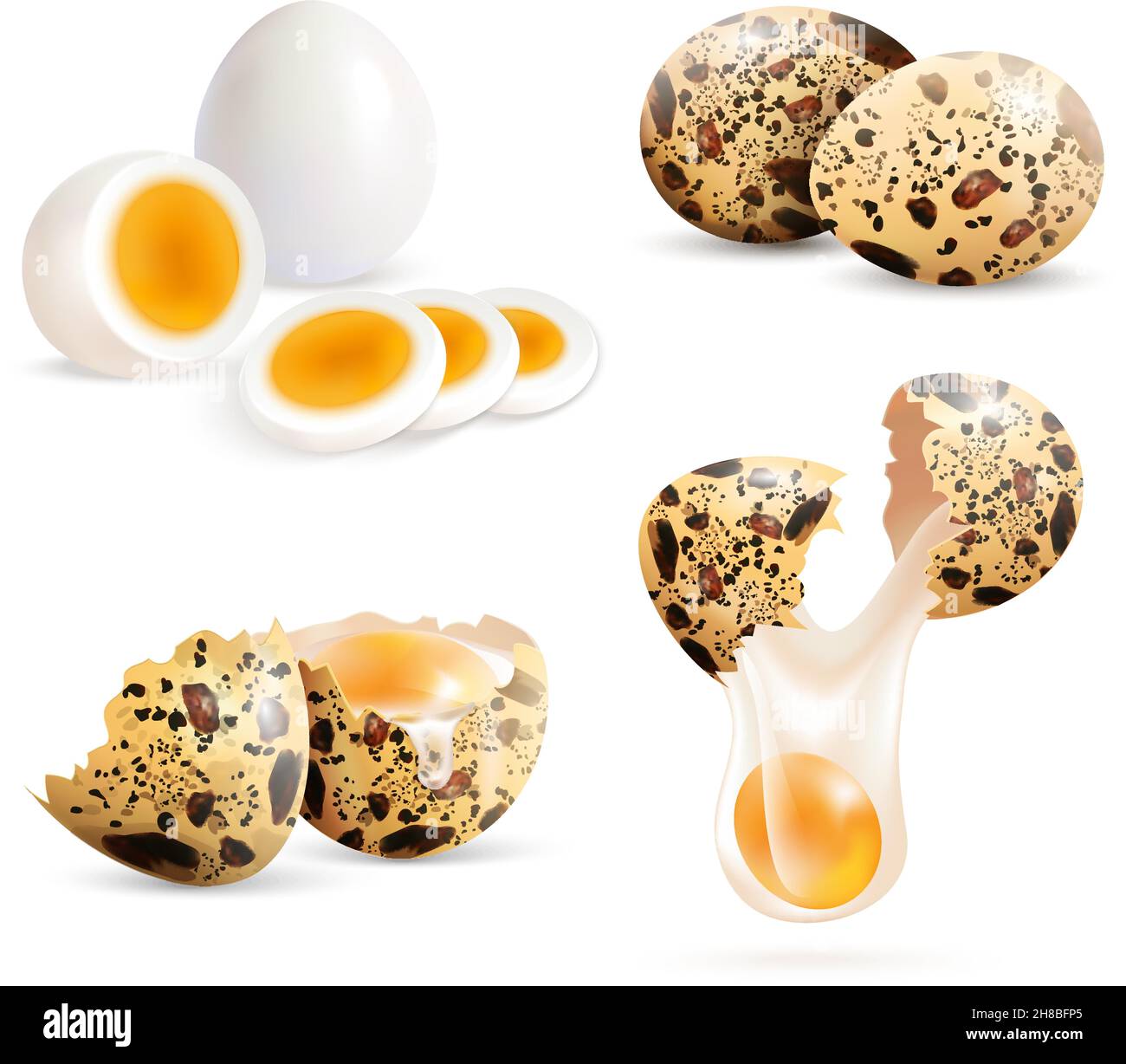 Quail eggs poultry Stock Vector Images - Alamy