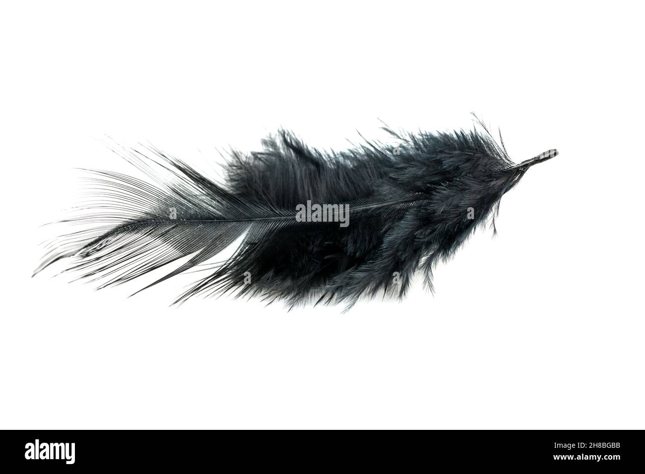 Black feathers close up detail Cut Out Stock Images & Pictures - Alamy