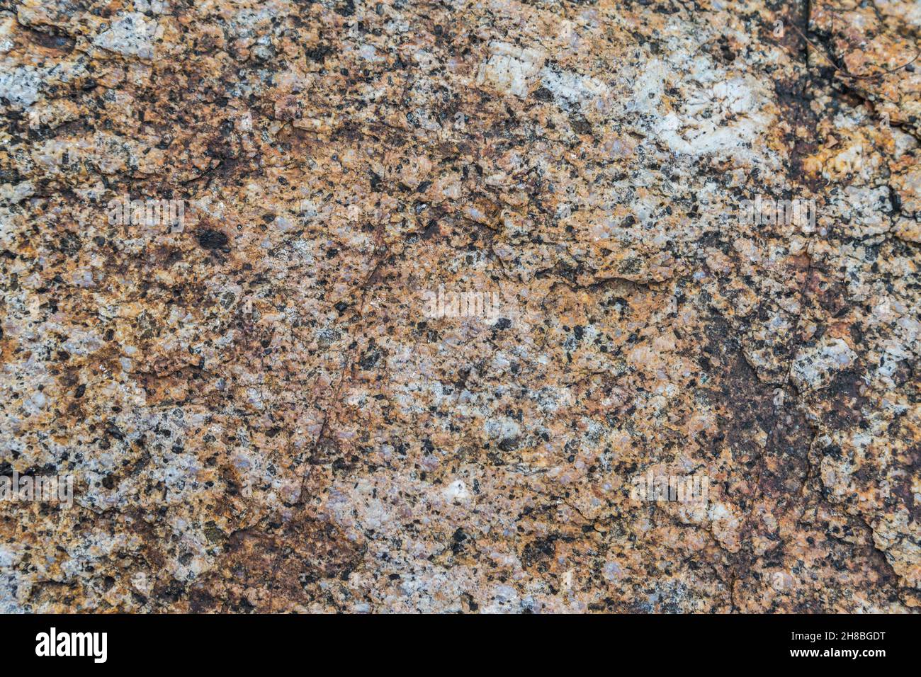 Close-up of Seamless rock stone texture background Stock Photo - Alamy