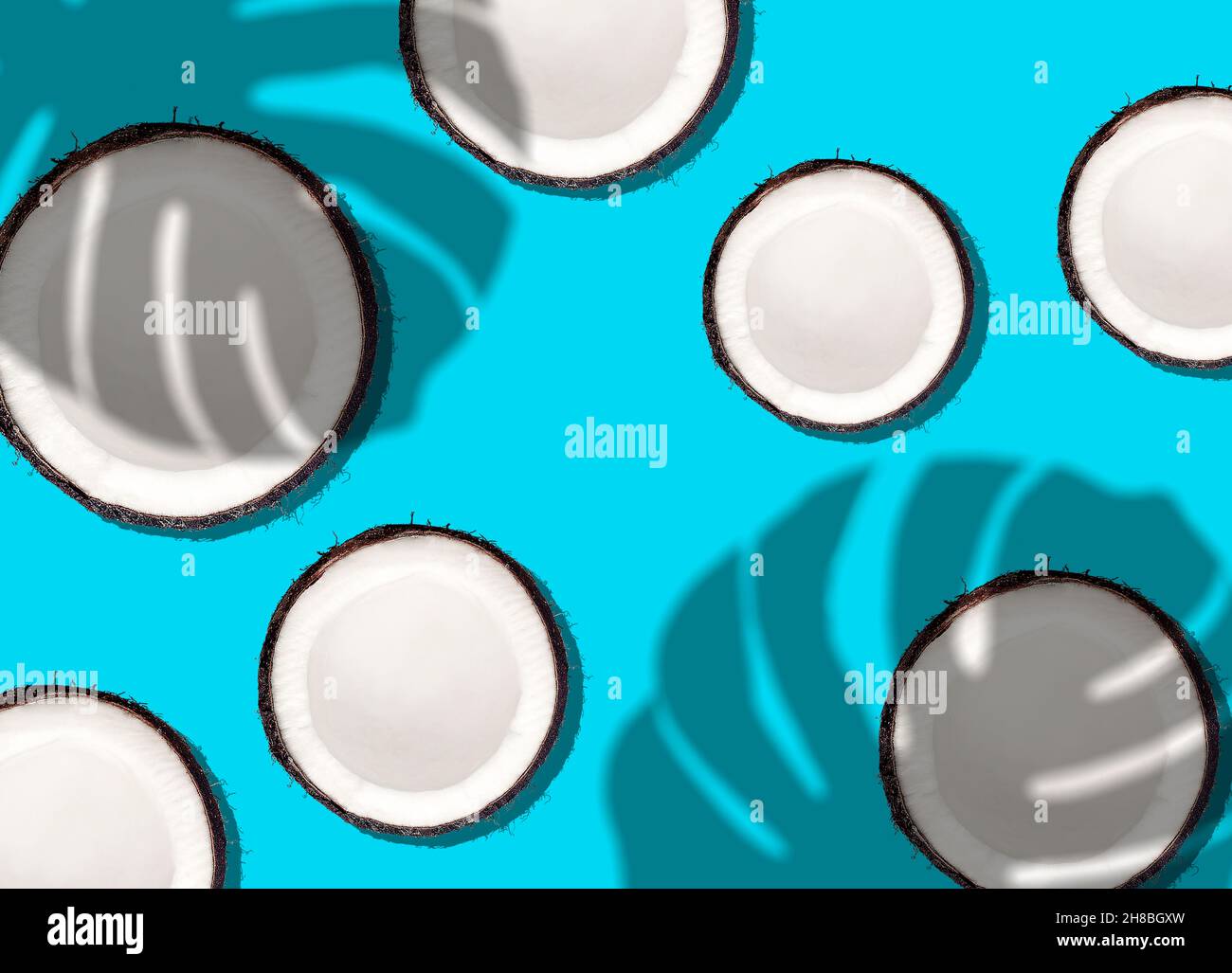 Coconut summer background. Tropical coconuts on a clean blue backdrop ...