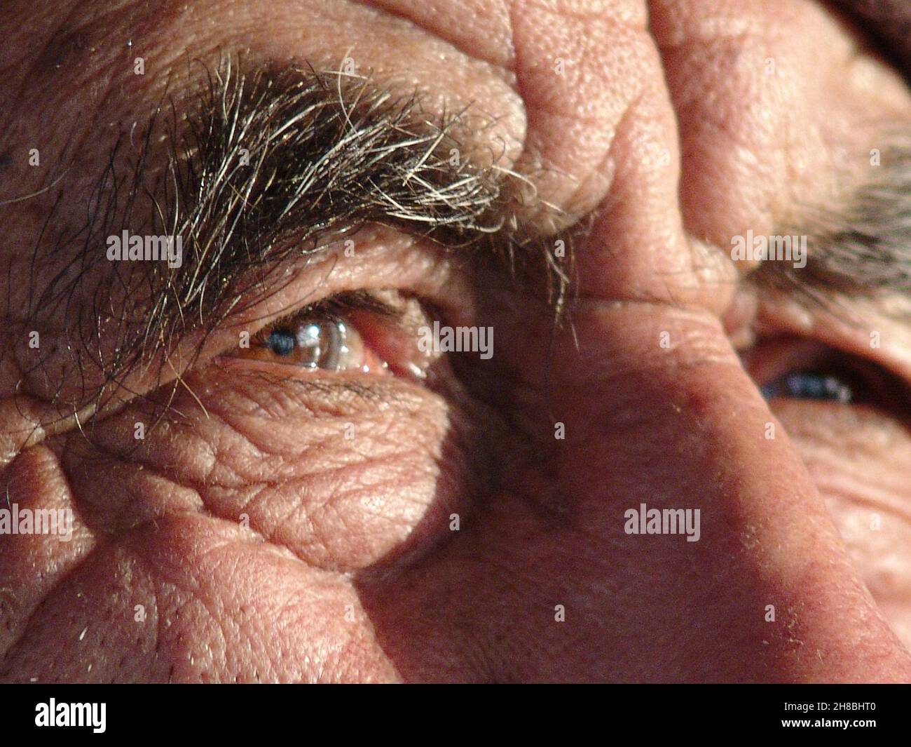 The old man's eyes Stock Photo - Alamy