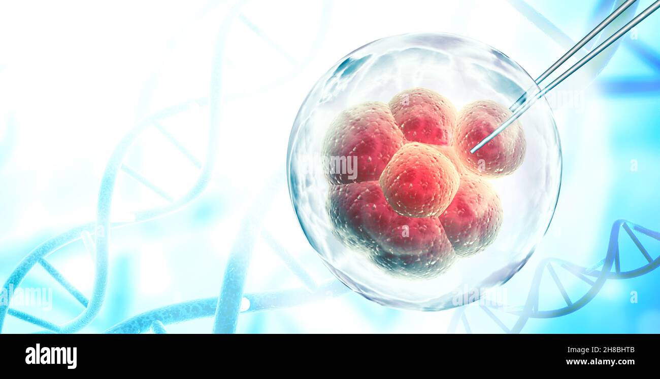 Genetic engineering, GMO and gene manipulation concept. Hi Tech ...