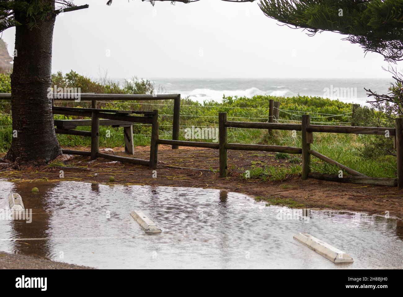 Australia Sydney wet spring weather as a La Nina/El Nino weather event ...