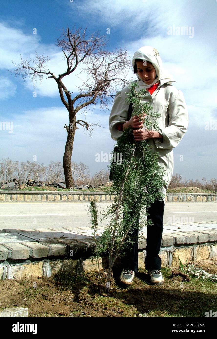 Girl tree planting Stock Photo - Alamy
