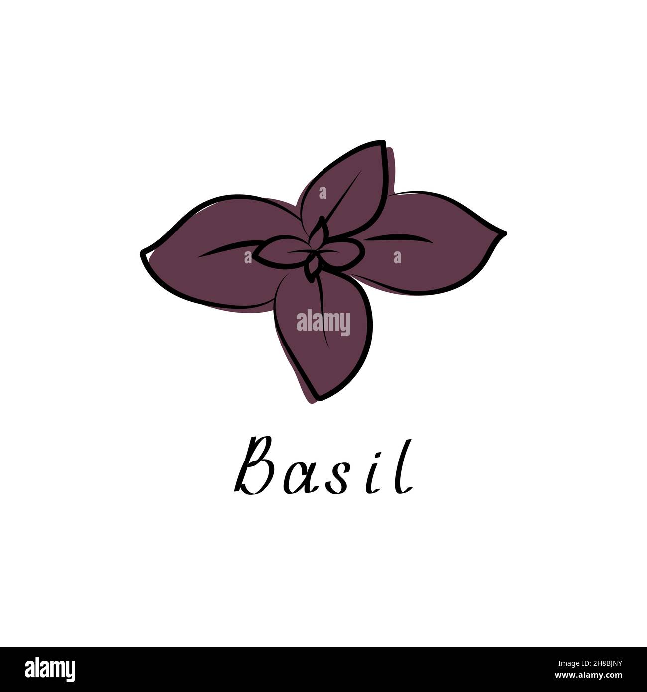 Basil leaves. Vector flat illustration. Basil herb logo Stock Vector ...