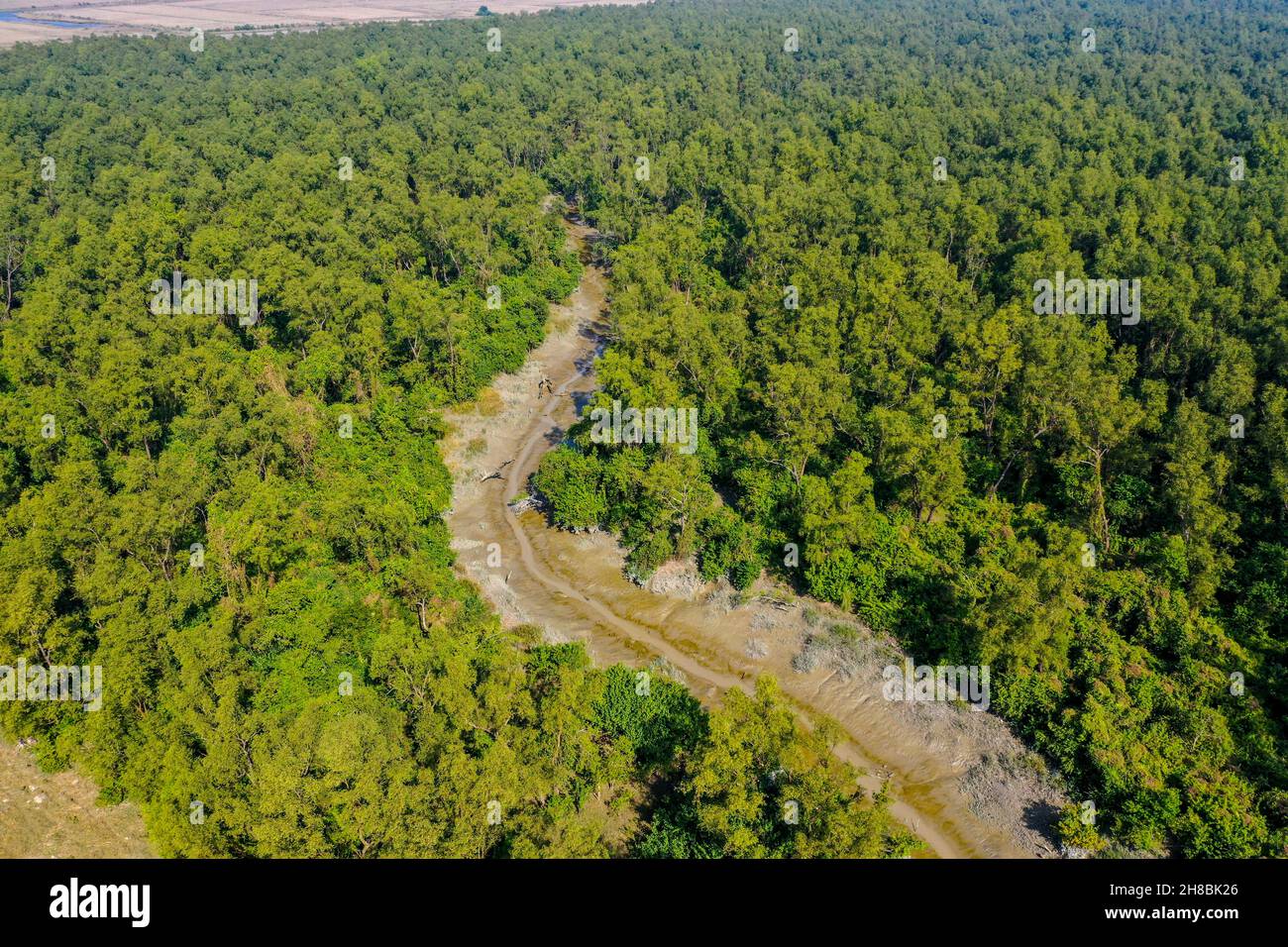 Aerial View of coastal mangrove forest at Dhal Chhar. Dhal Char is one ...