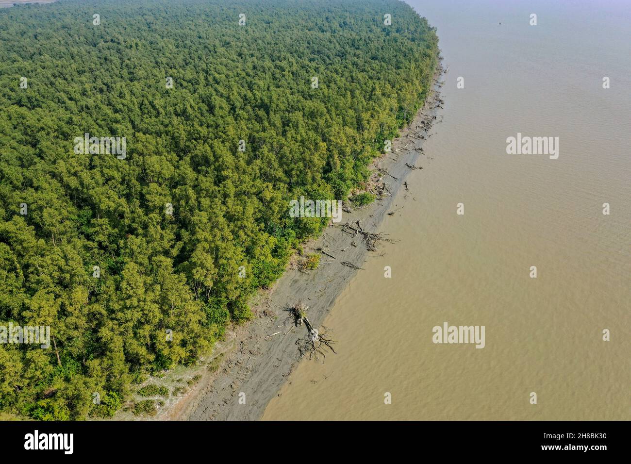 Aerial View of coastal mangrove forest at Dhal Chhar. Dhal Char is one ...