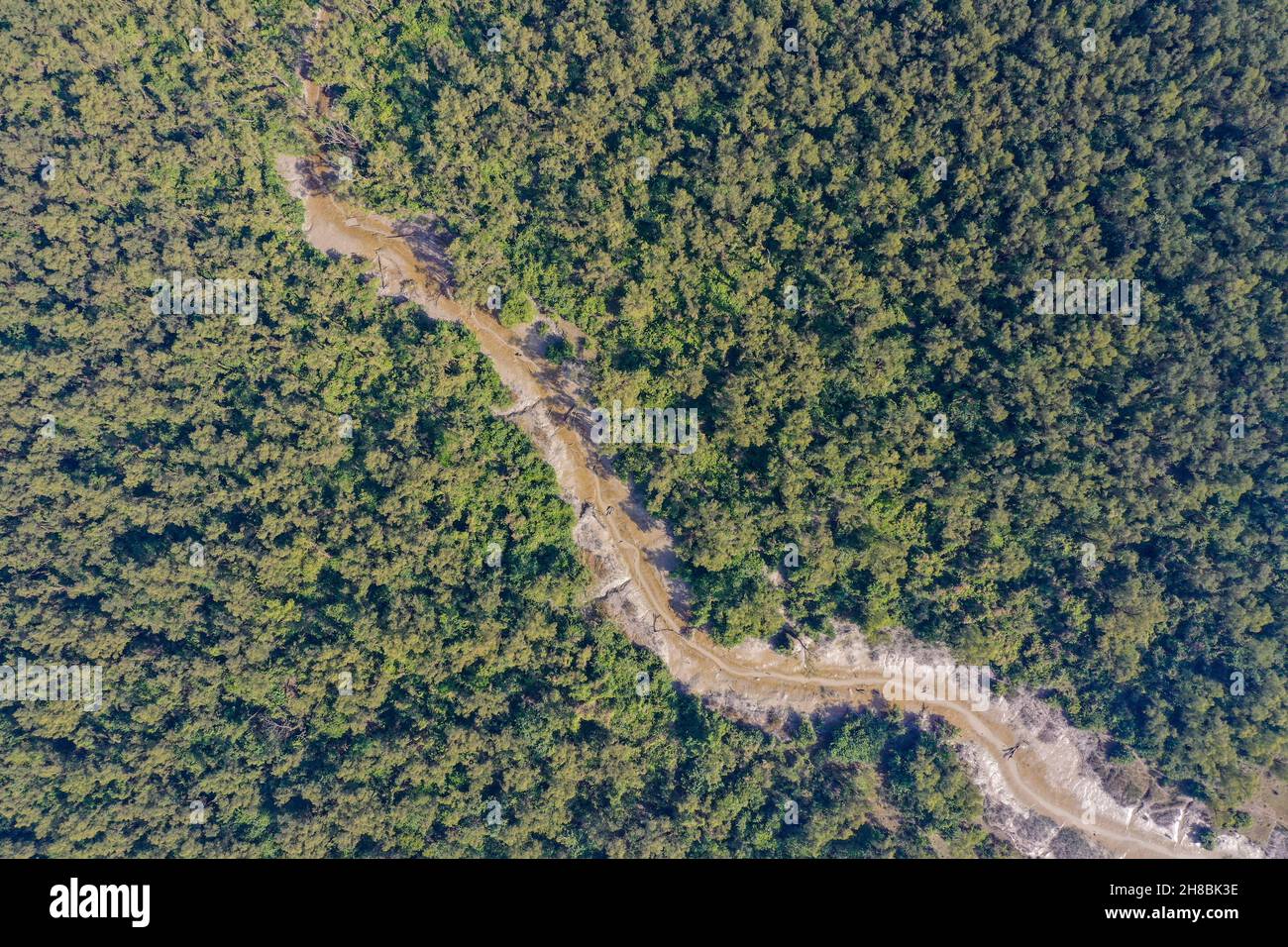 Aerial View of coastal mangrove forest at Dhal Chhar. Dhal Char is one ...