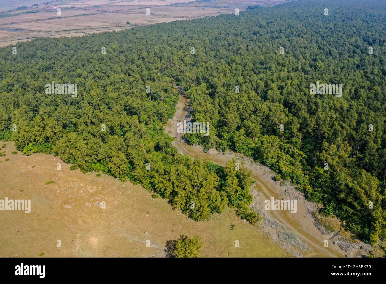 Aerial View of coastal mangrove forest at Dhal Chhar. Dhal Char is one ...