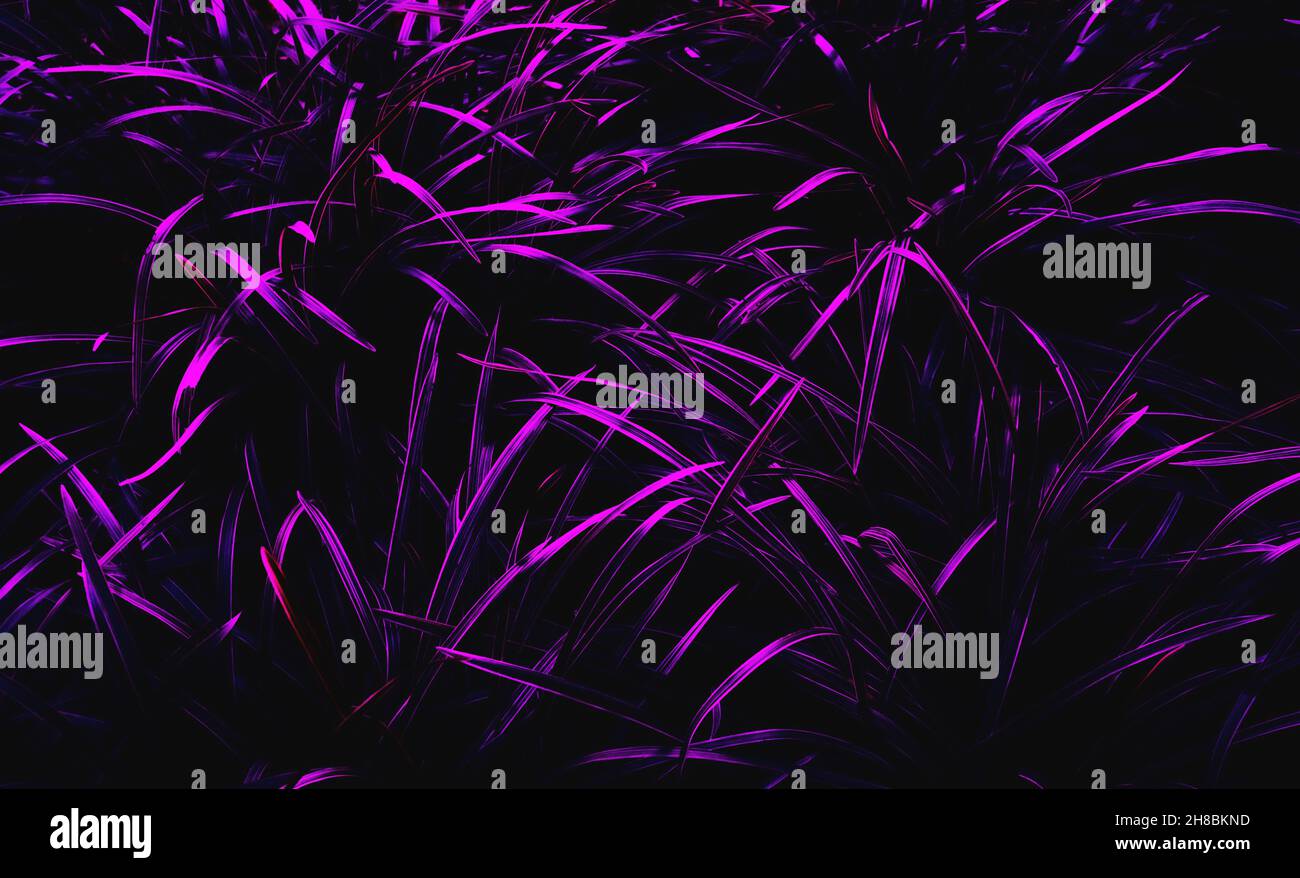 Velvet violet color hi-res stock photography and images - Alamy