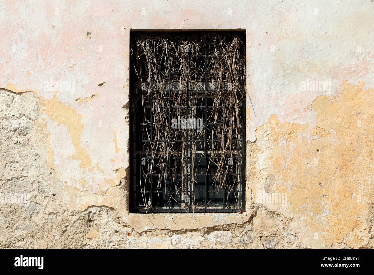 Dilapidated wooden frame window with strong black metal bars protection ...