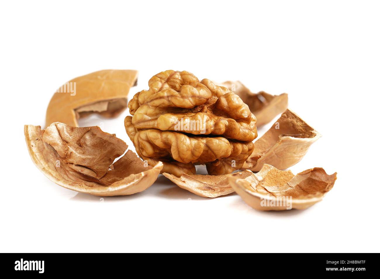 Macro of peeled walnut. Whole walnut kernel and cracked walnut shell ...