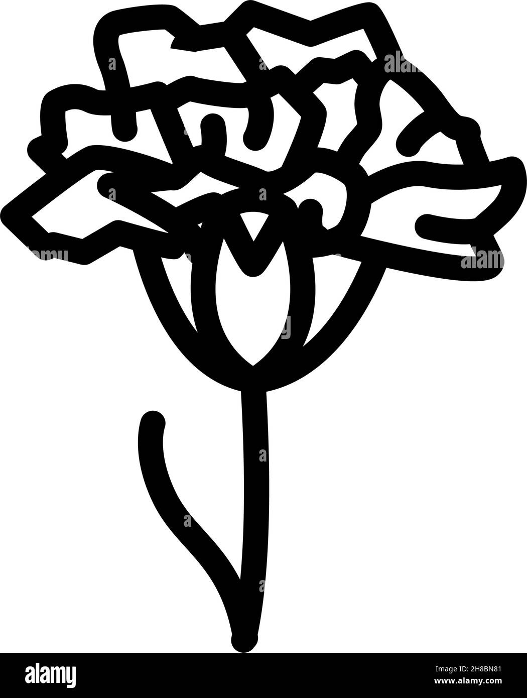 carnation flower line icon vector illustration Stock Vector Image & Art ...