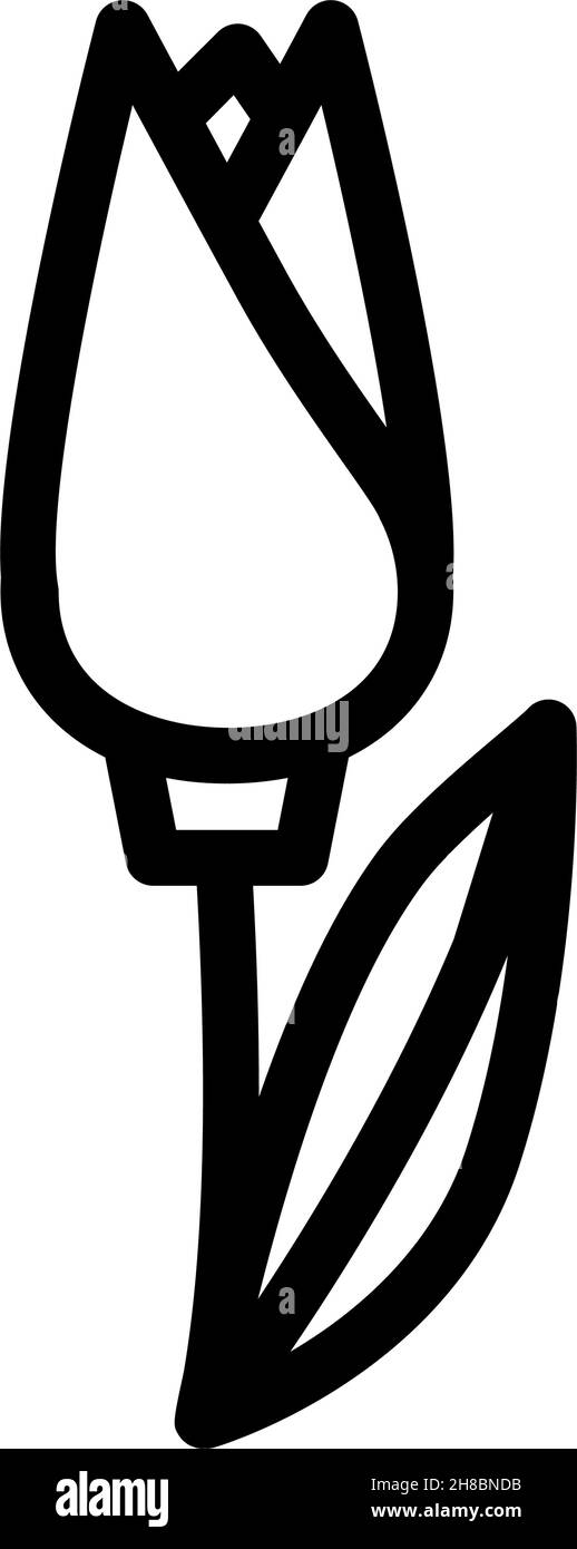 Rose aromatic flower line Black and White Stock Photos & Images - Alamy