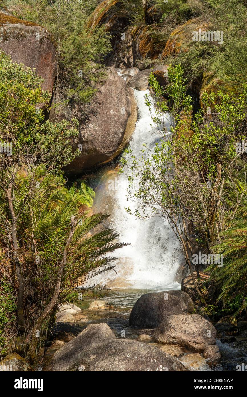 Ladies Bath Falls, Mt Buffalo, Victoria, Australia Stock Photo - Alamy