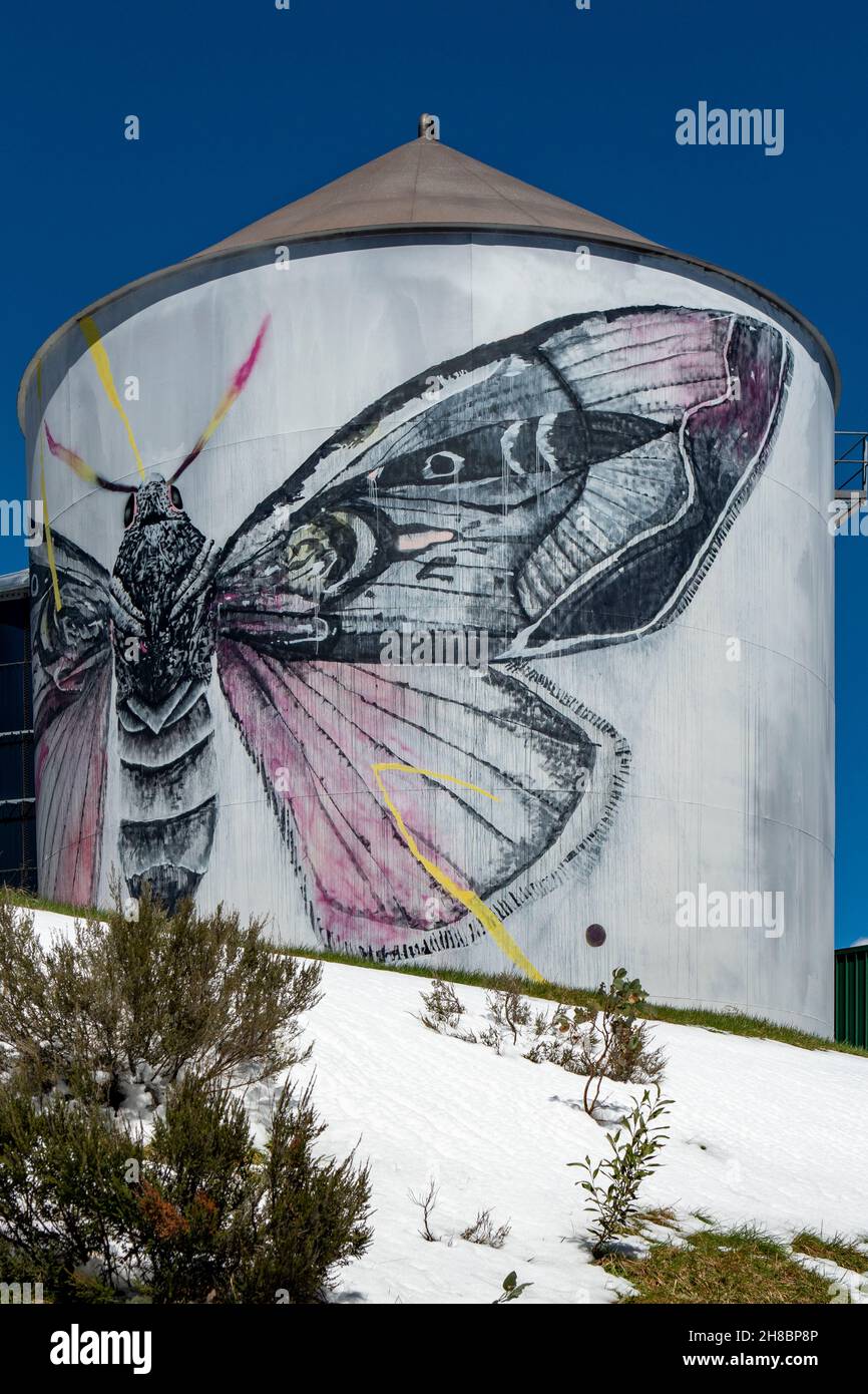 Bogong Moth Water Tank Art, Falls Creek, Victoria, Australia Stock ...