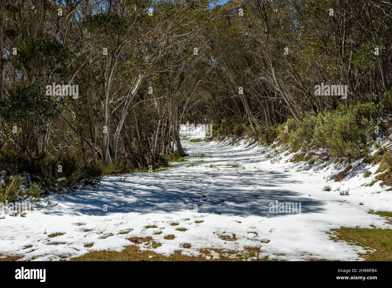 Australian snowy mountains hi-res stock photography and images - Alamy