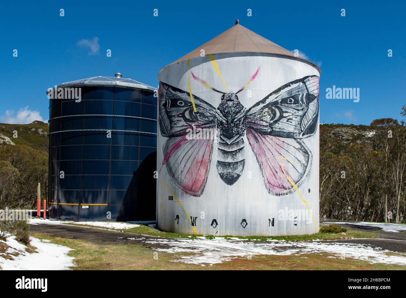 Bogong Moth Water Tank Art, Falls Creek, Victoria, Australia Stock ...