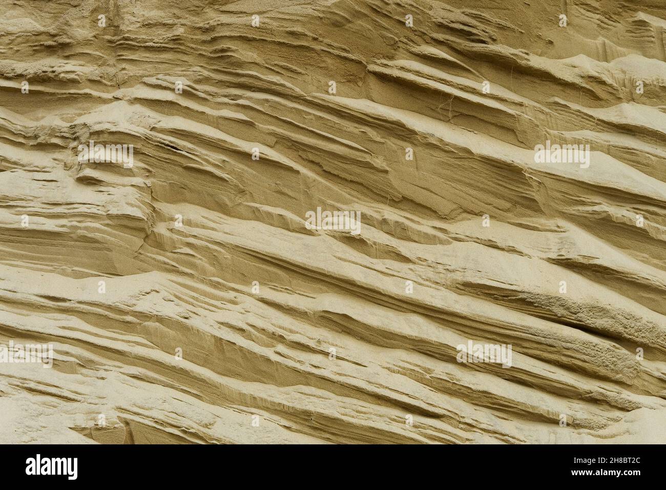 Collapsing sand dune, Authie Bay, Berck sur Mer, Pas de Calais ...