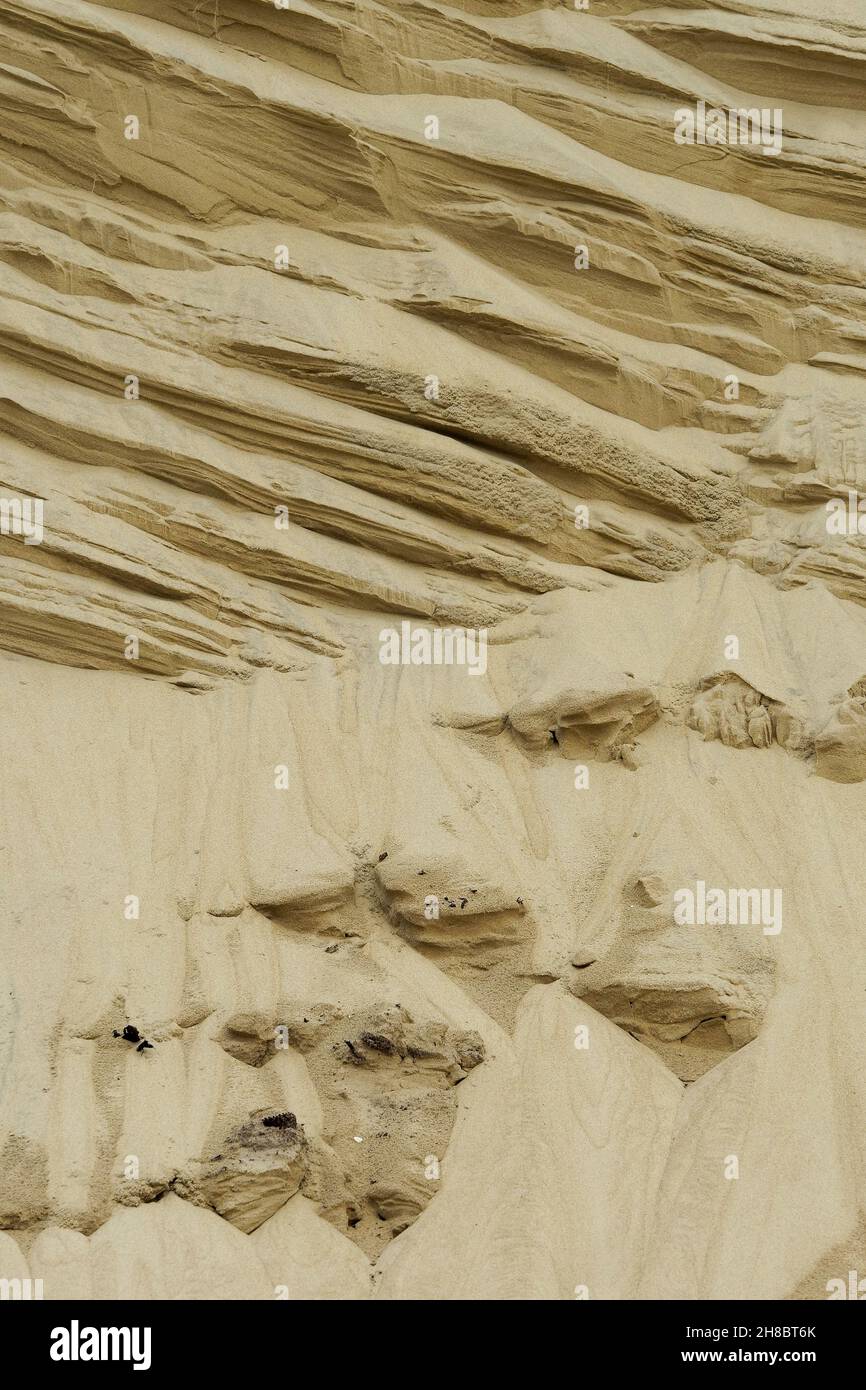 Collapsing sand dune, Authie Bay, Berck sur Mer, Pas de Calais ...