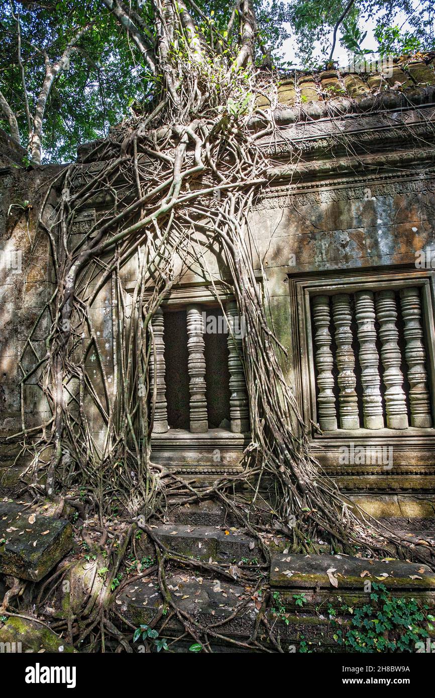 Cambodia, architecture, monuments, art, temple Stock Photo - Alamy