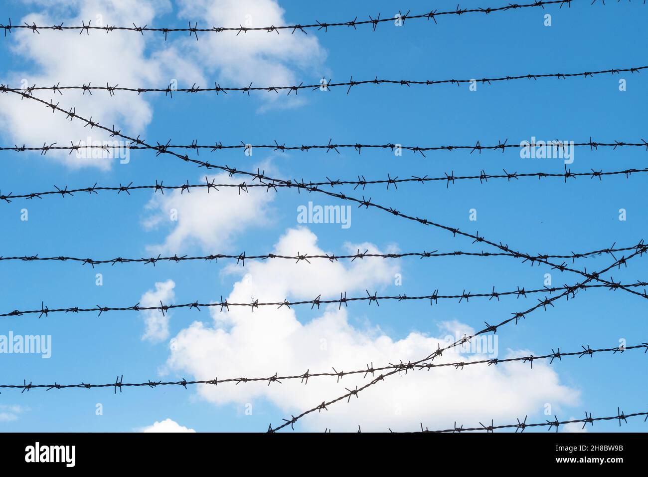 Rows of a barbed wires against blue sky. Concept picture about freedom ...