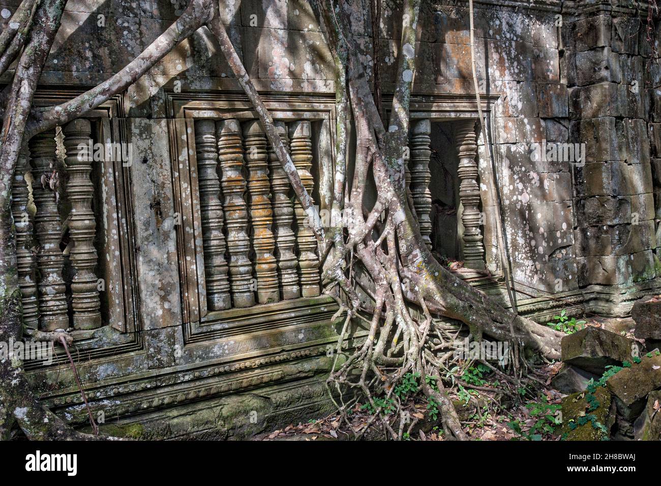 Cambodia, architecture, monuments, art, temple Stock Photo - Alamy