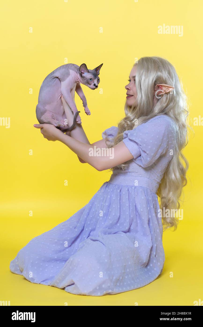 Young female cosplay elf sitting on yellow background, shows Sphinx ...