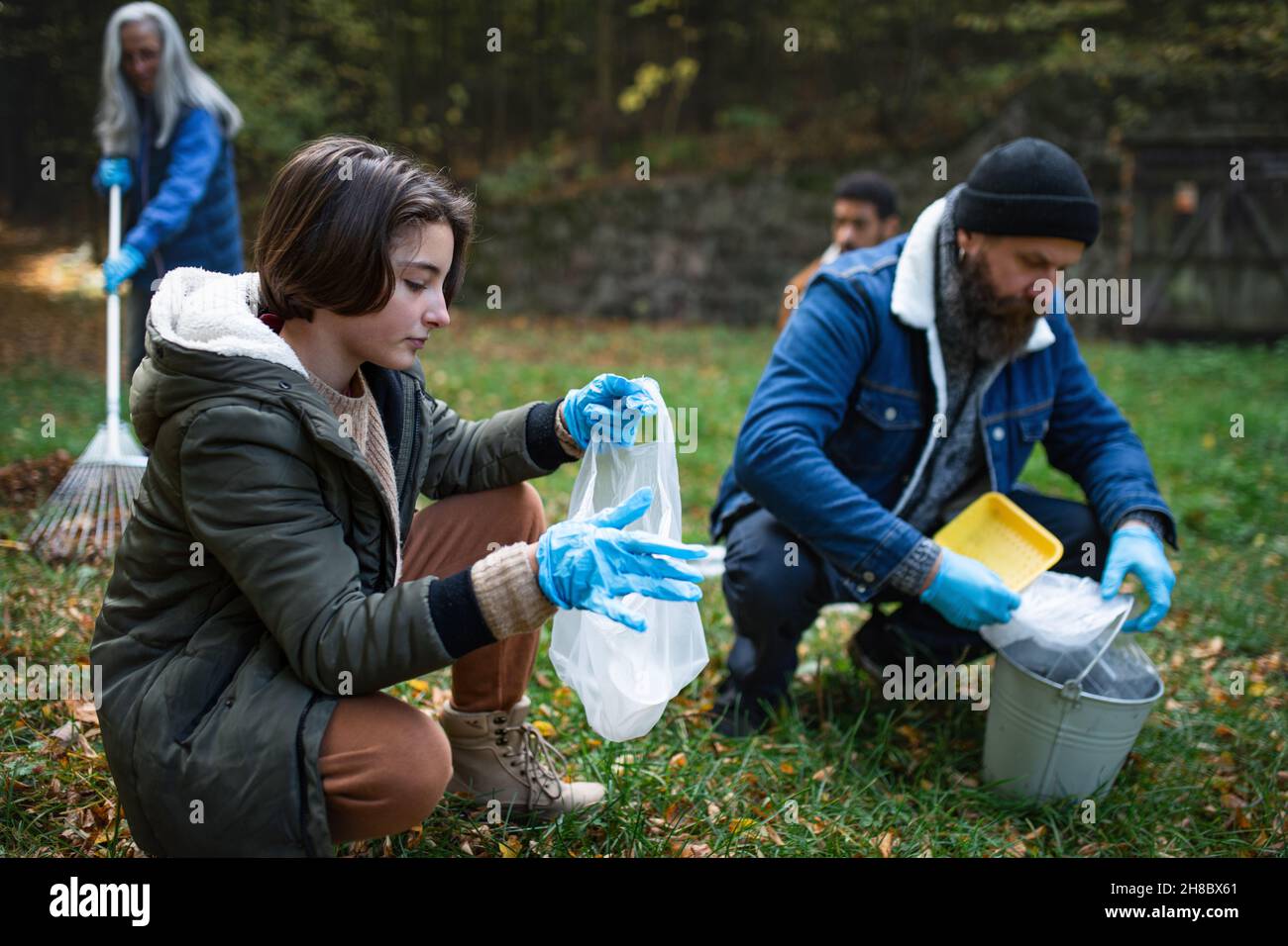 Group of volunteers cleaning up forest from waste, community service ...
