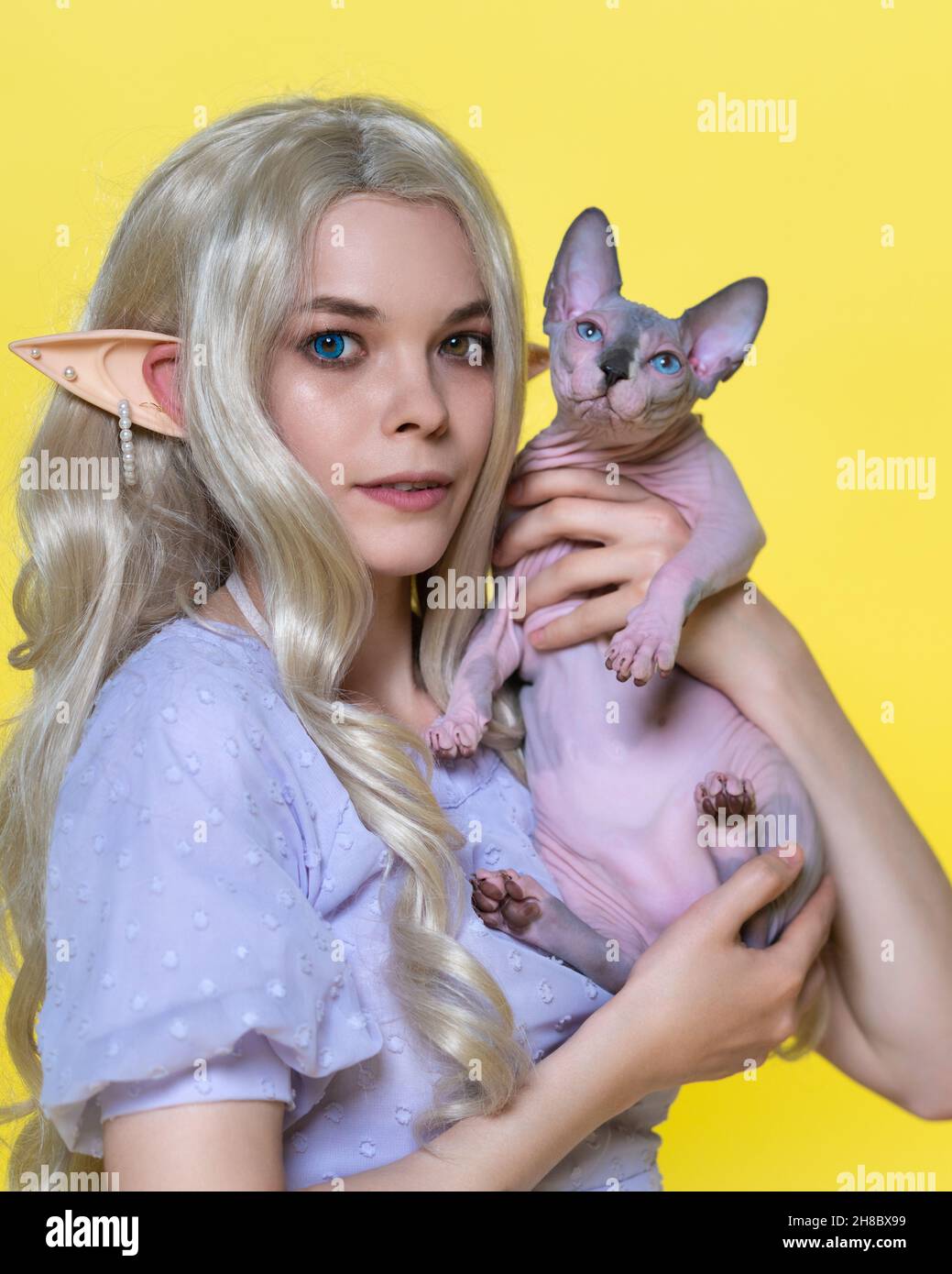 Young blonde woman cosplay elf in blue dress holding Sphinx kitten in ...