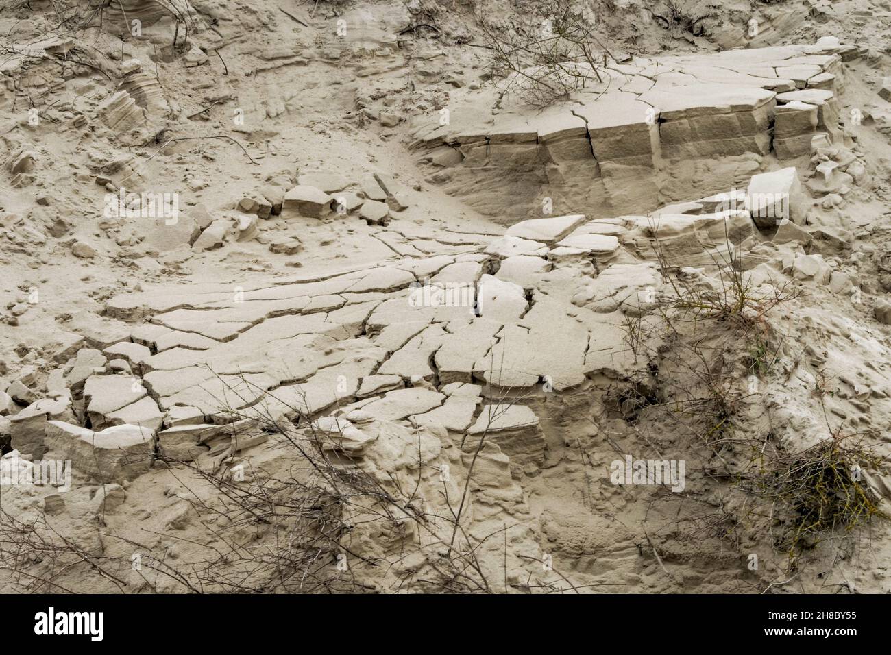 Collapsing sand dune, Authie Bay, Berck sur Mer, Pas de Calais ...