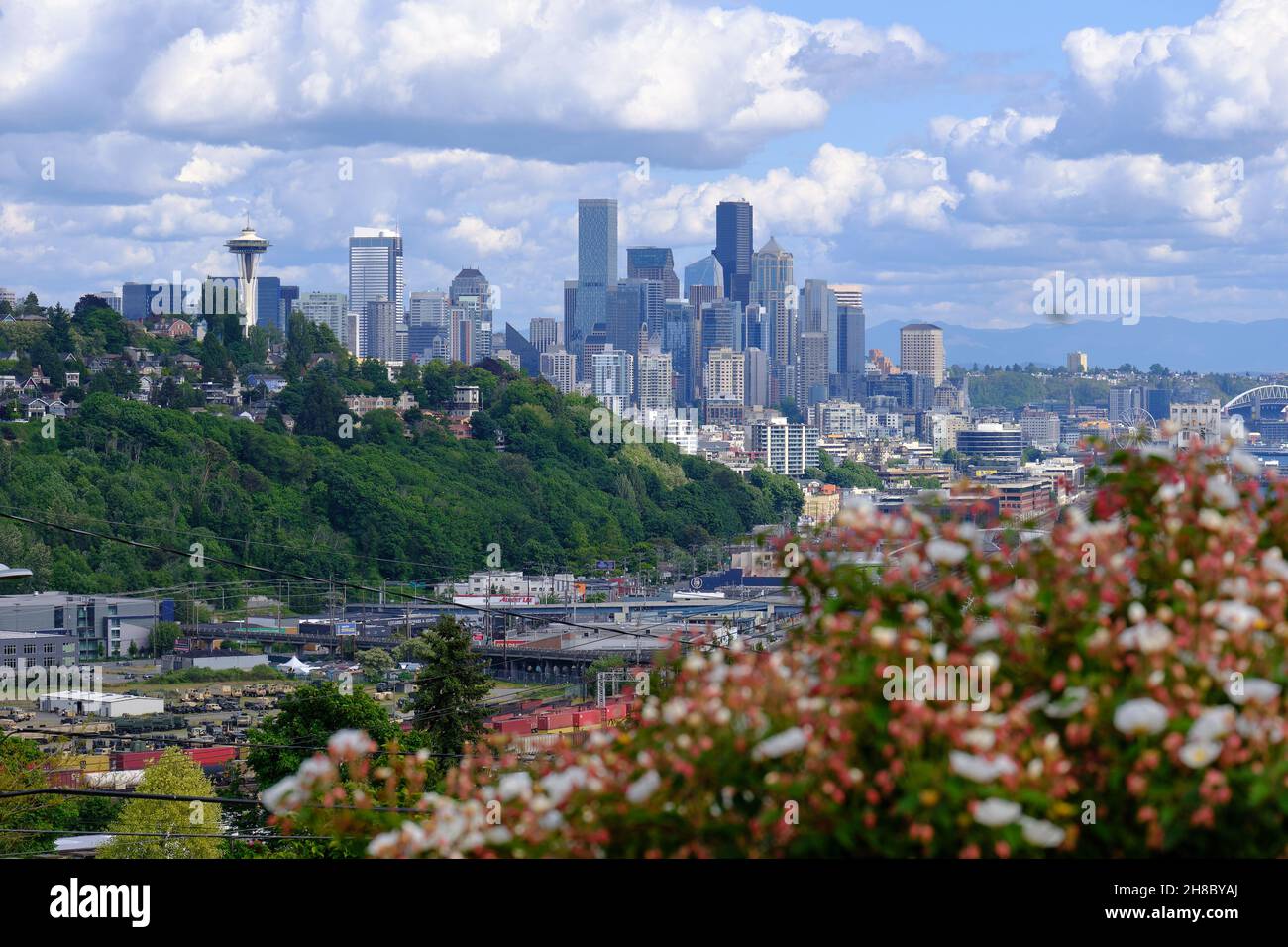 Ella bailey park hi-res stock photography and images - Alamy