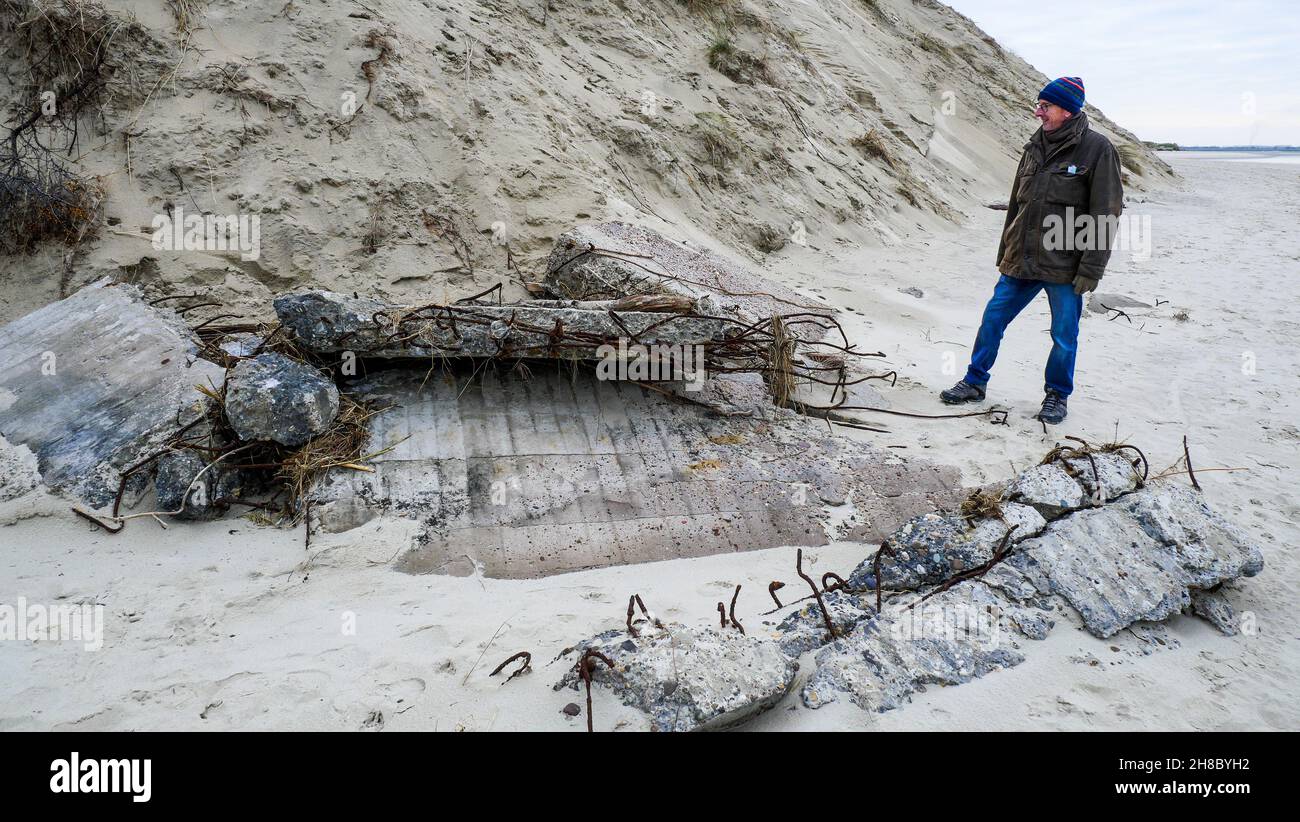 Lonely man looking at the remains of a WWII German blockhaus, Authie ...