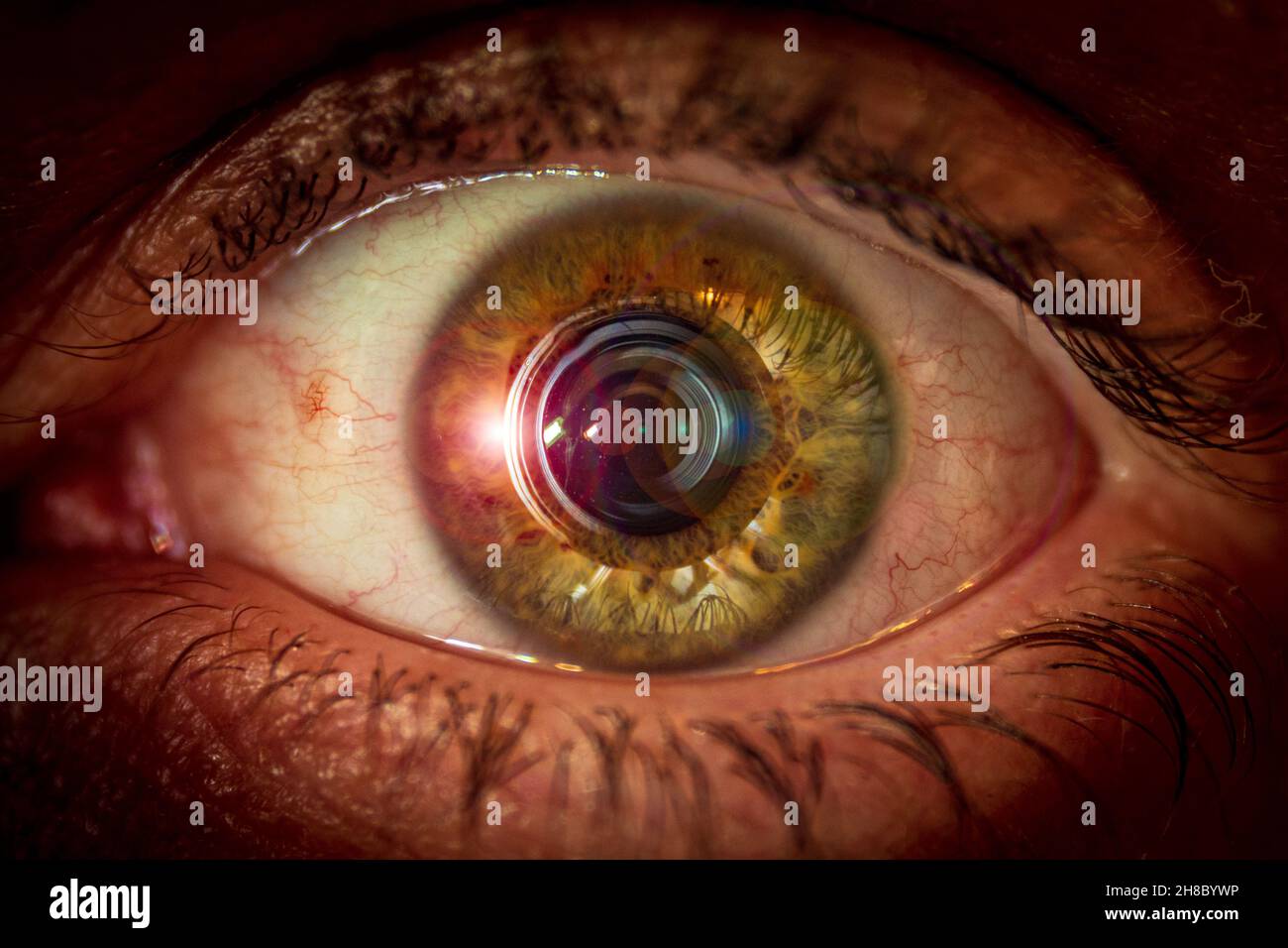 Eye with a camera lens and lens flare in the pupil Stock Photo - Alamy