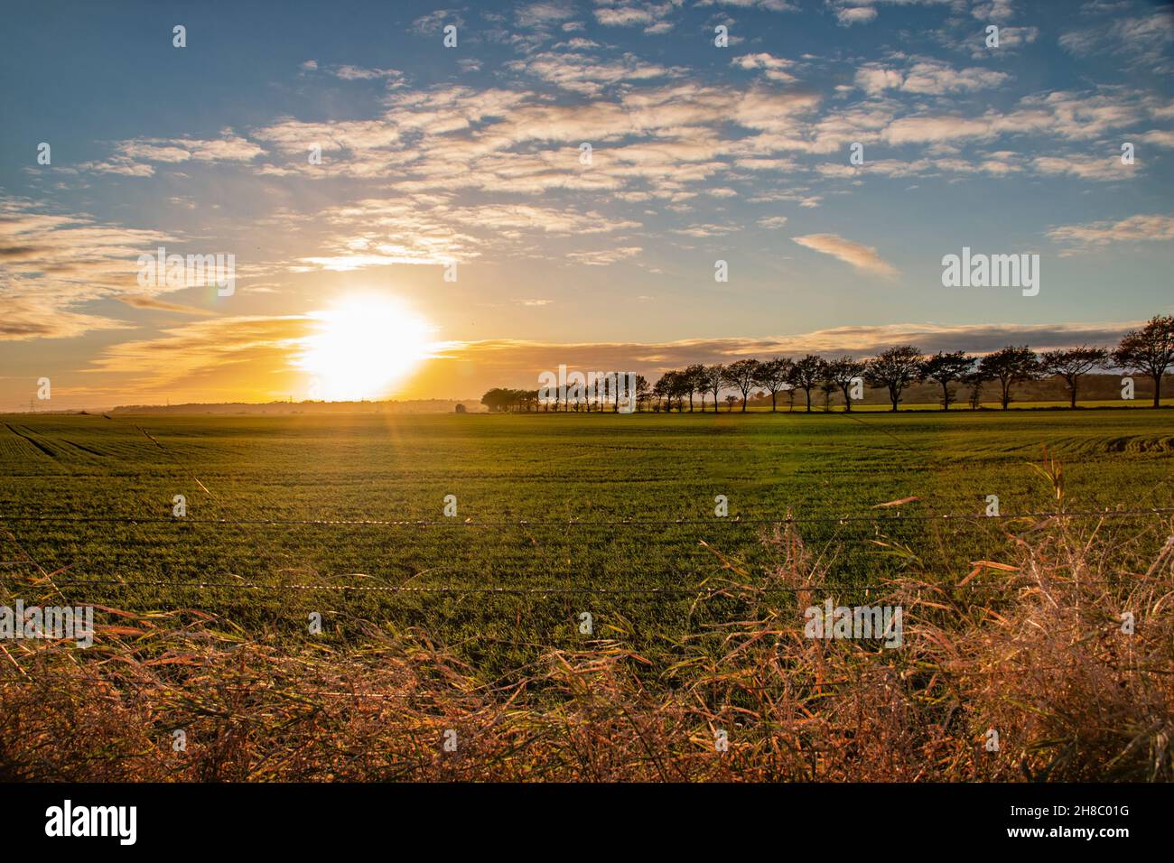 Part of romney marsh hi-res stock photography and images - Alamy