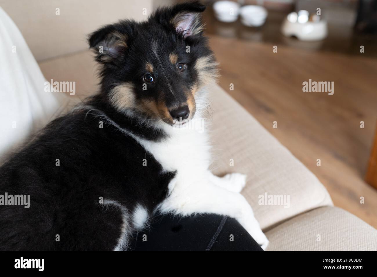 Shetland seat hi-res stock photography and images - Alamy