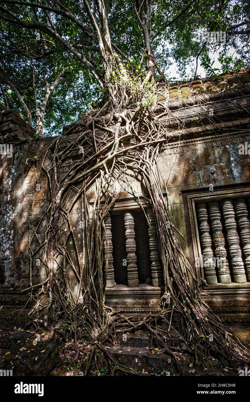 Cambodia, architecture, monuments, art, temple Stock Photo - Alamy