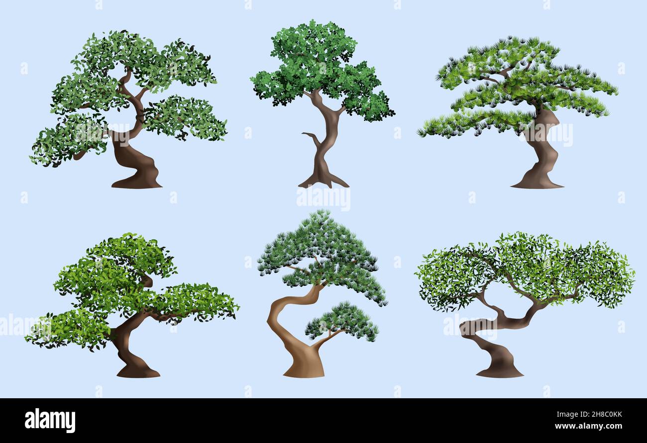 Small tree trunk in Stock Vector Images - Alamy