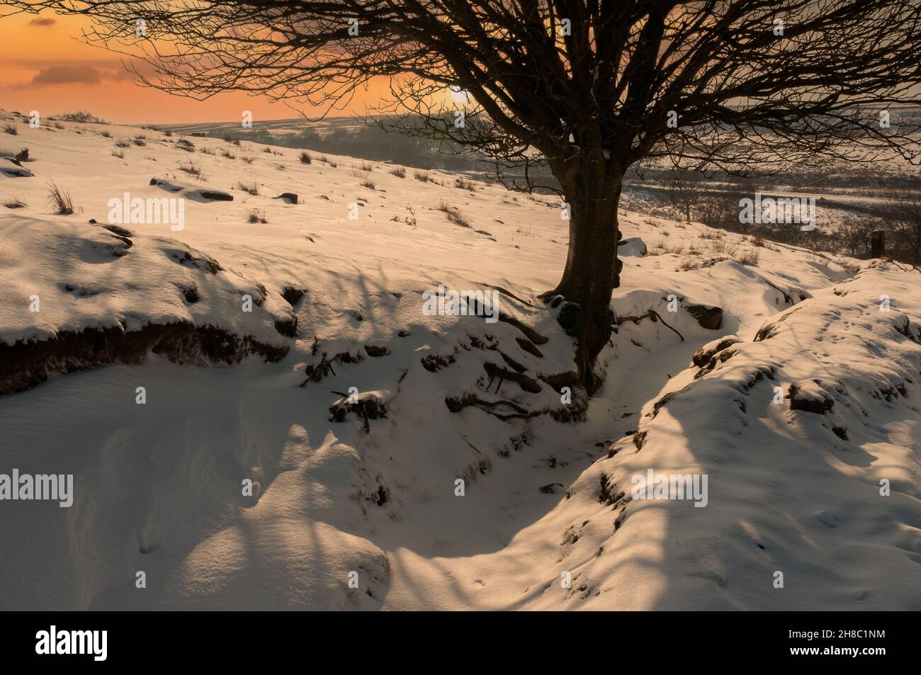 Winter scenes uk hi-res stock photography and images - Alamy