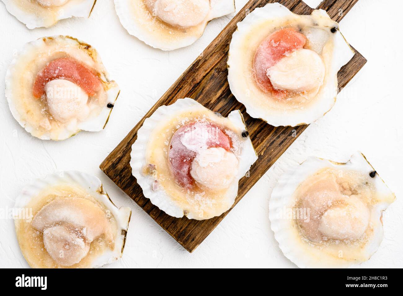 Scallop. Frozen meat scallop shells set, on white stone table ...