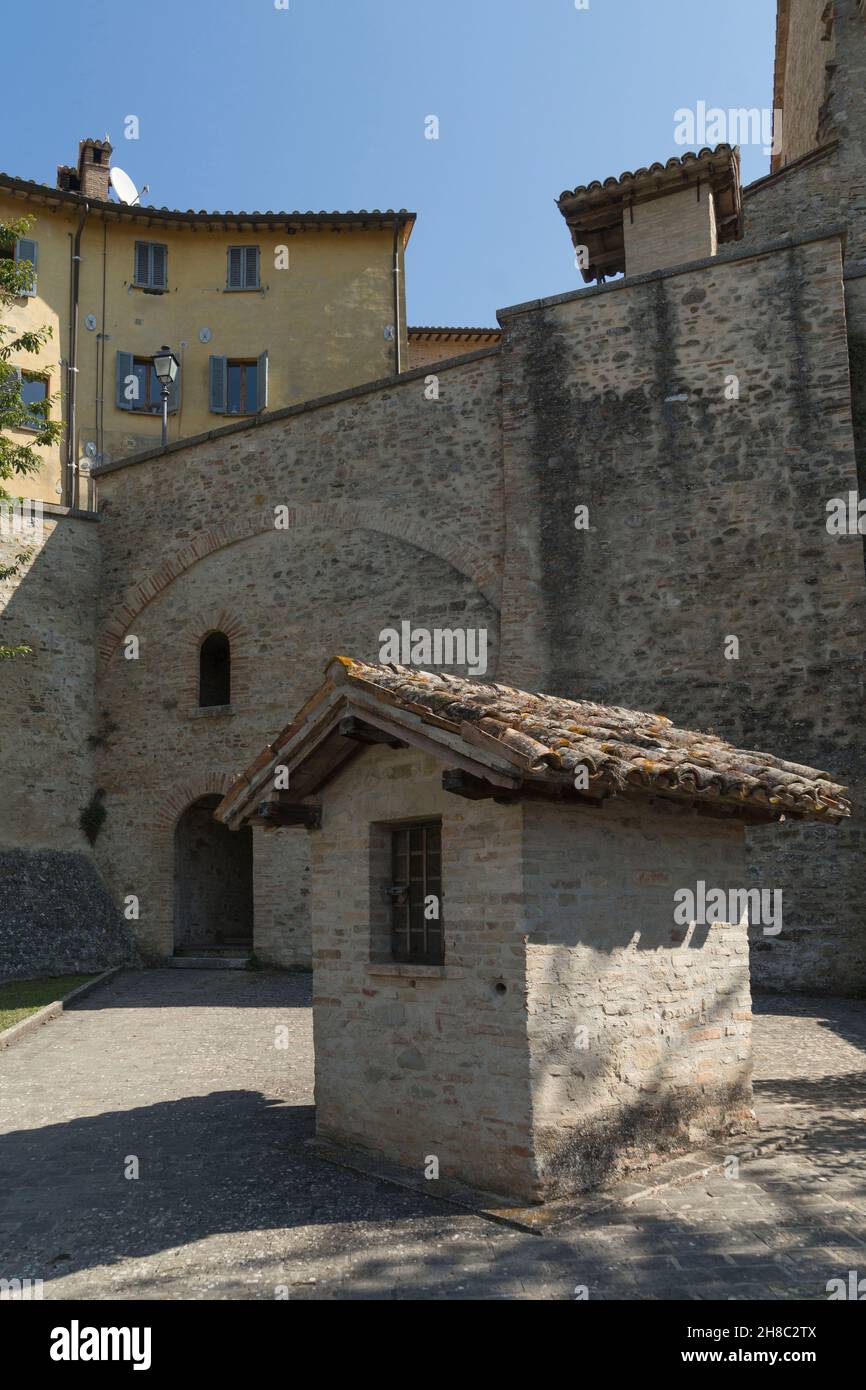 Montone hi-res stock photography and images - Alamy