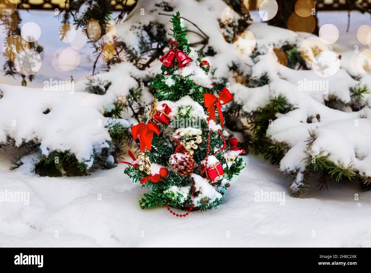 Happy family in winter forest hi-res stock photography and images - Alamy