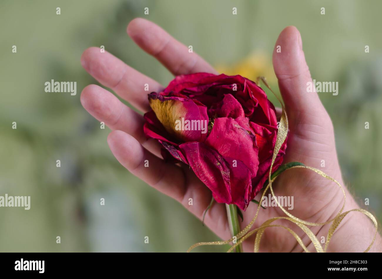 Dying man family around hi-res stock photography and images - Alamy