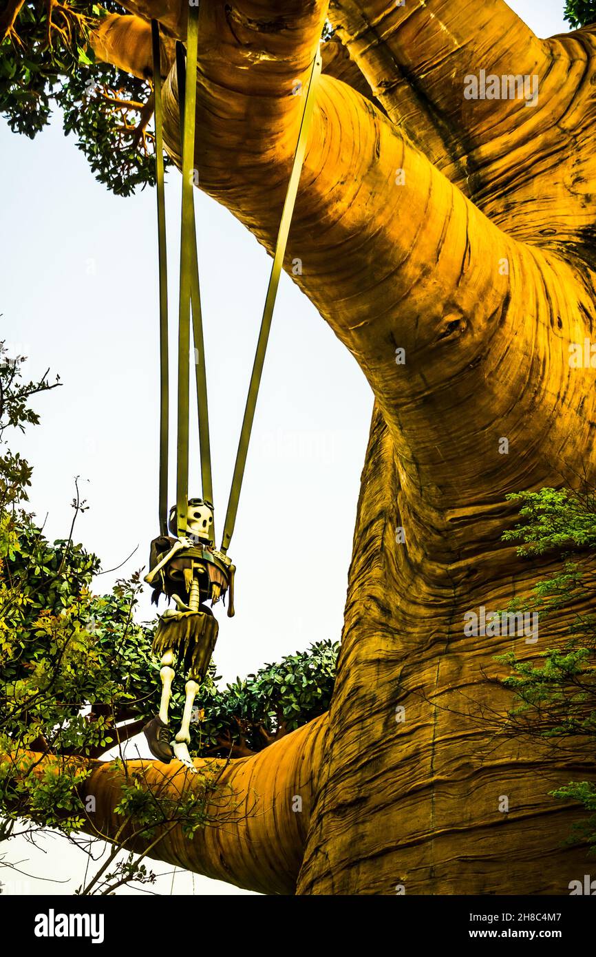 Skeleton hanging on a tree hi-res stock photography and images - Alamy