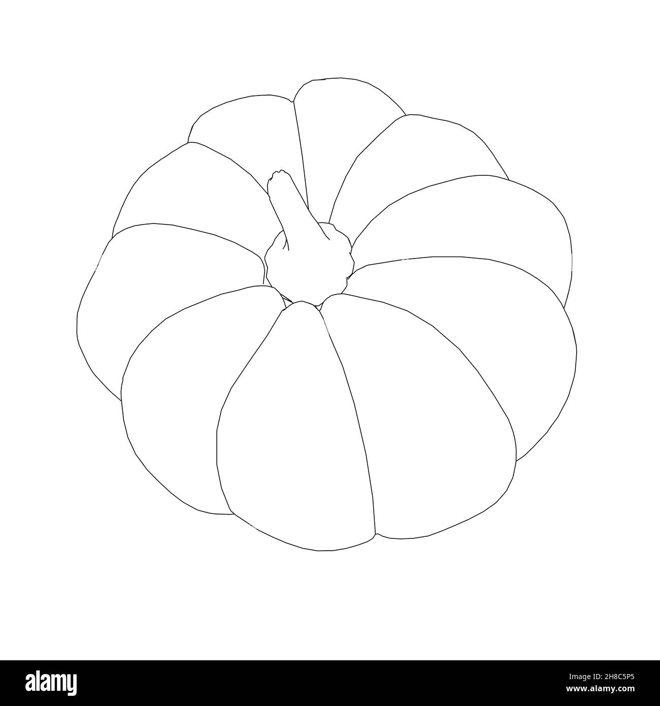 Pumpkin contour from black lines isolated on white background. Vector ...