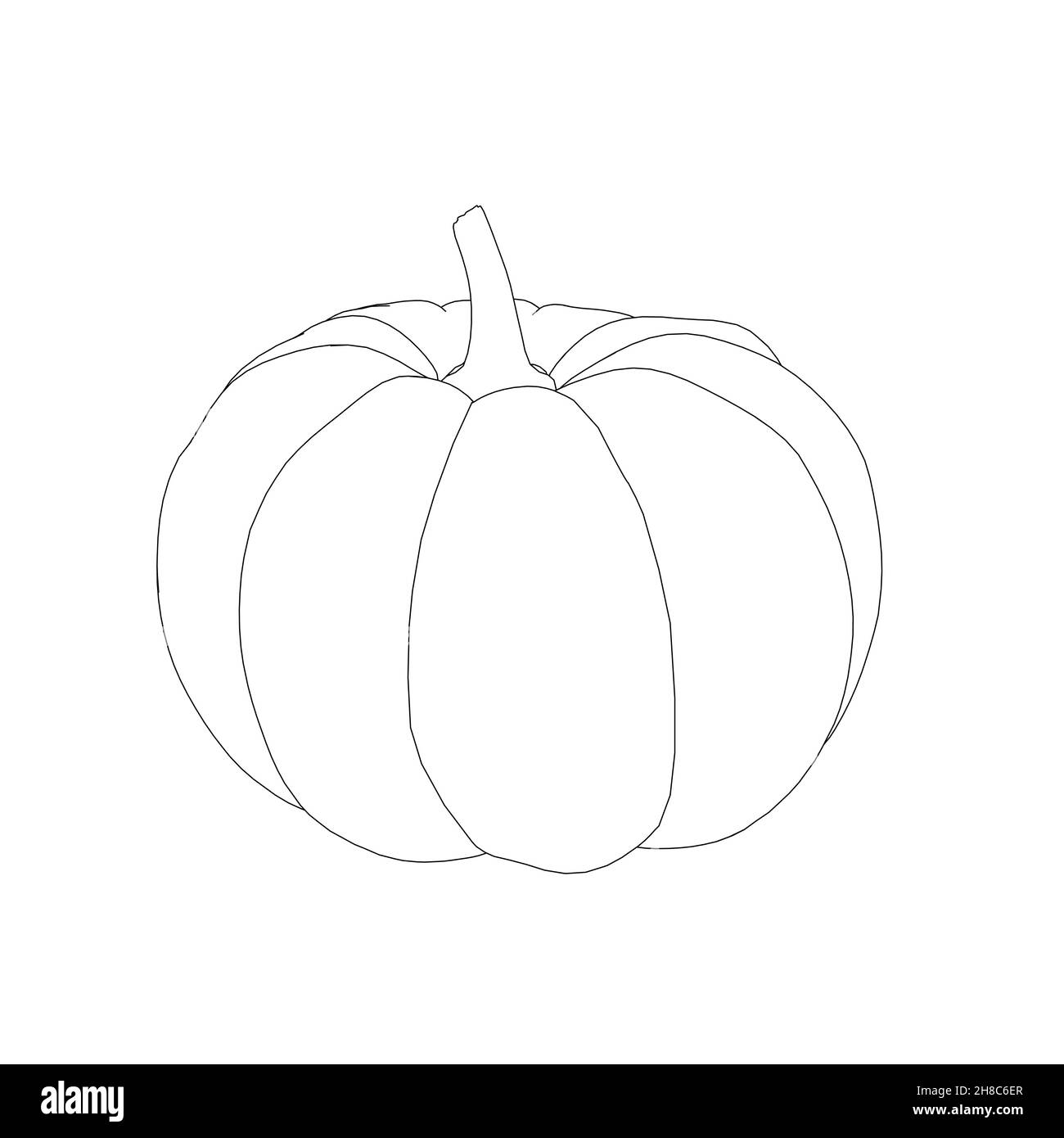 Pumpkin contour from black lines isolated on white background. Vector ...