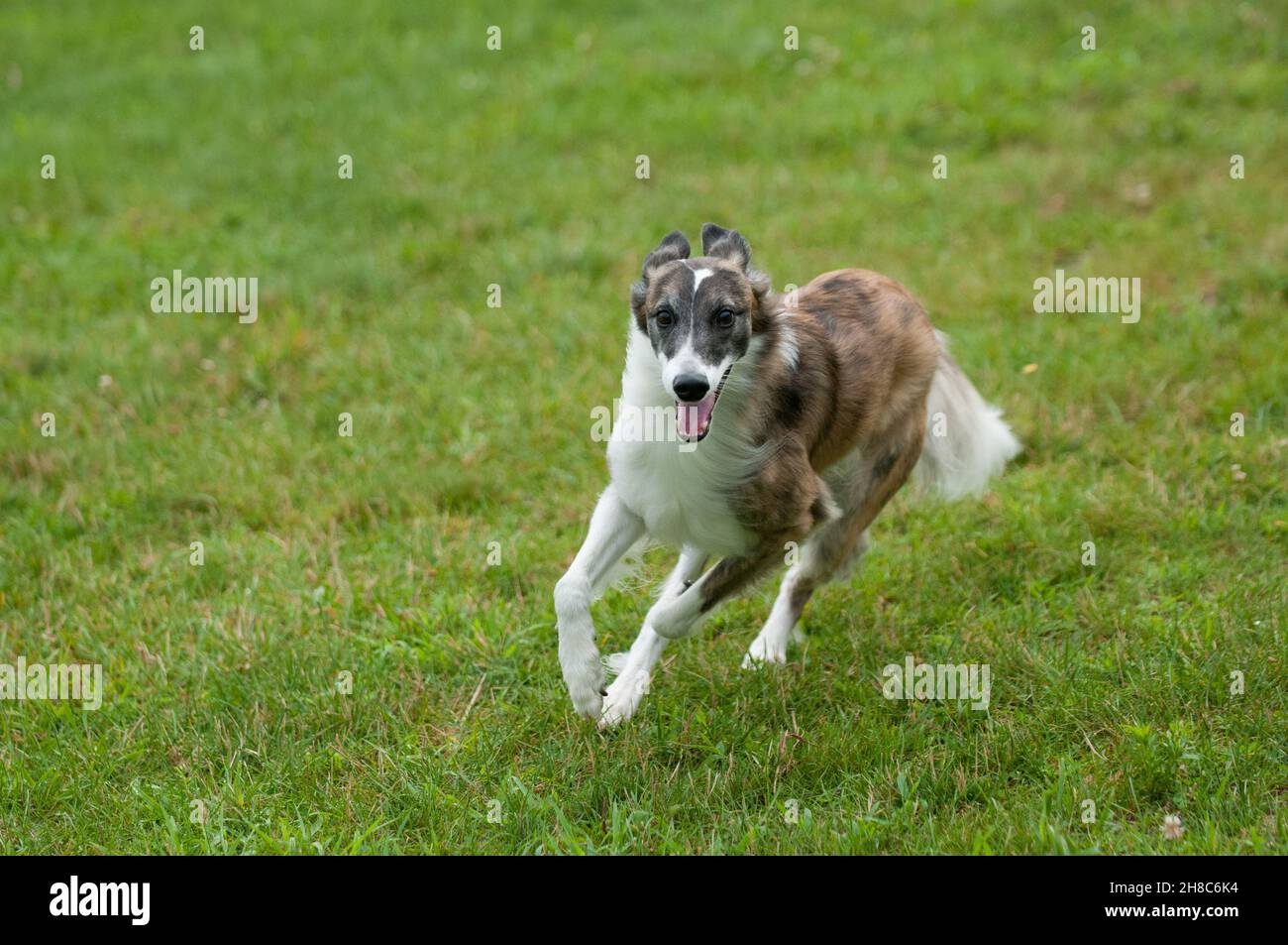 Windsprites hi-res stock photography and images - Alamy